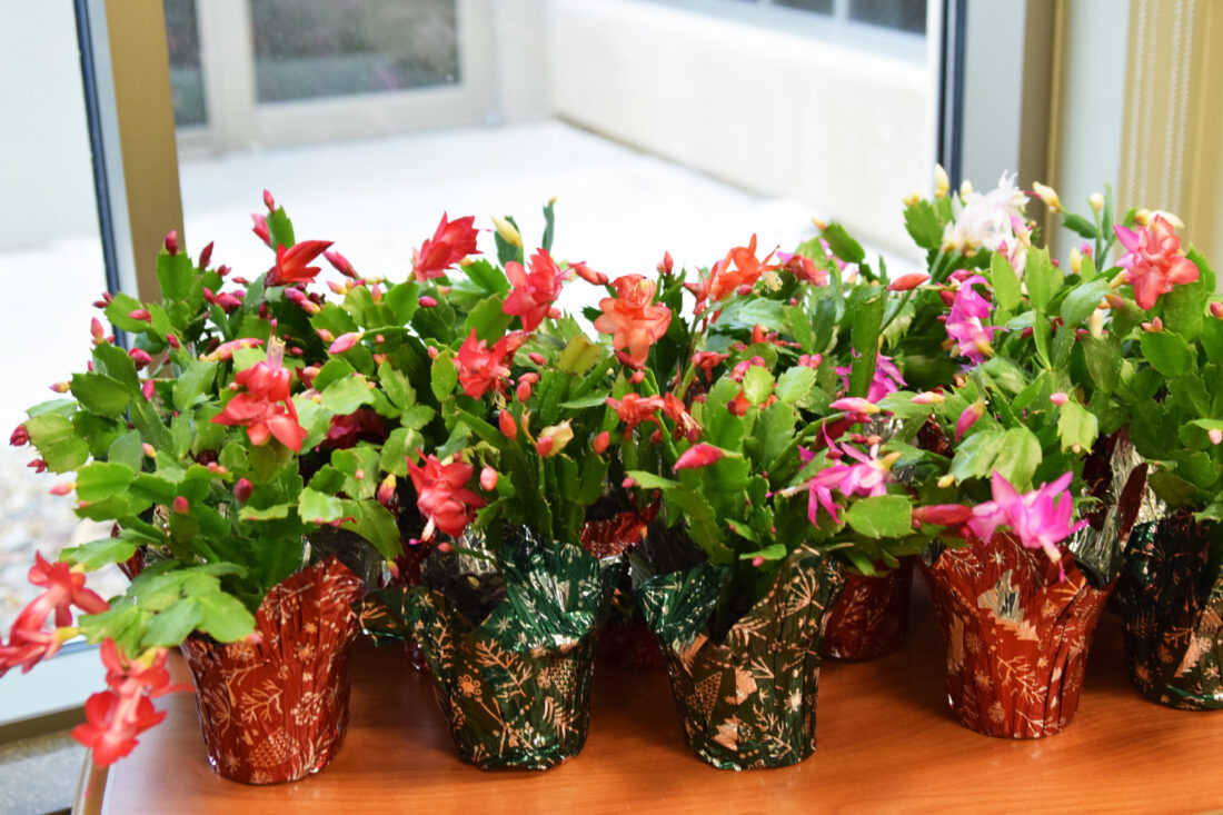 Sharing the love | News, Sports, Jobs - Messenger News